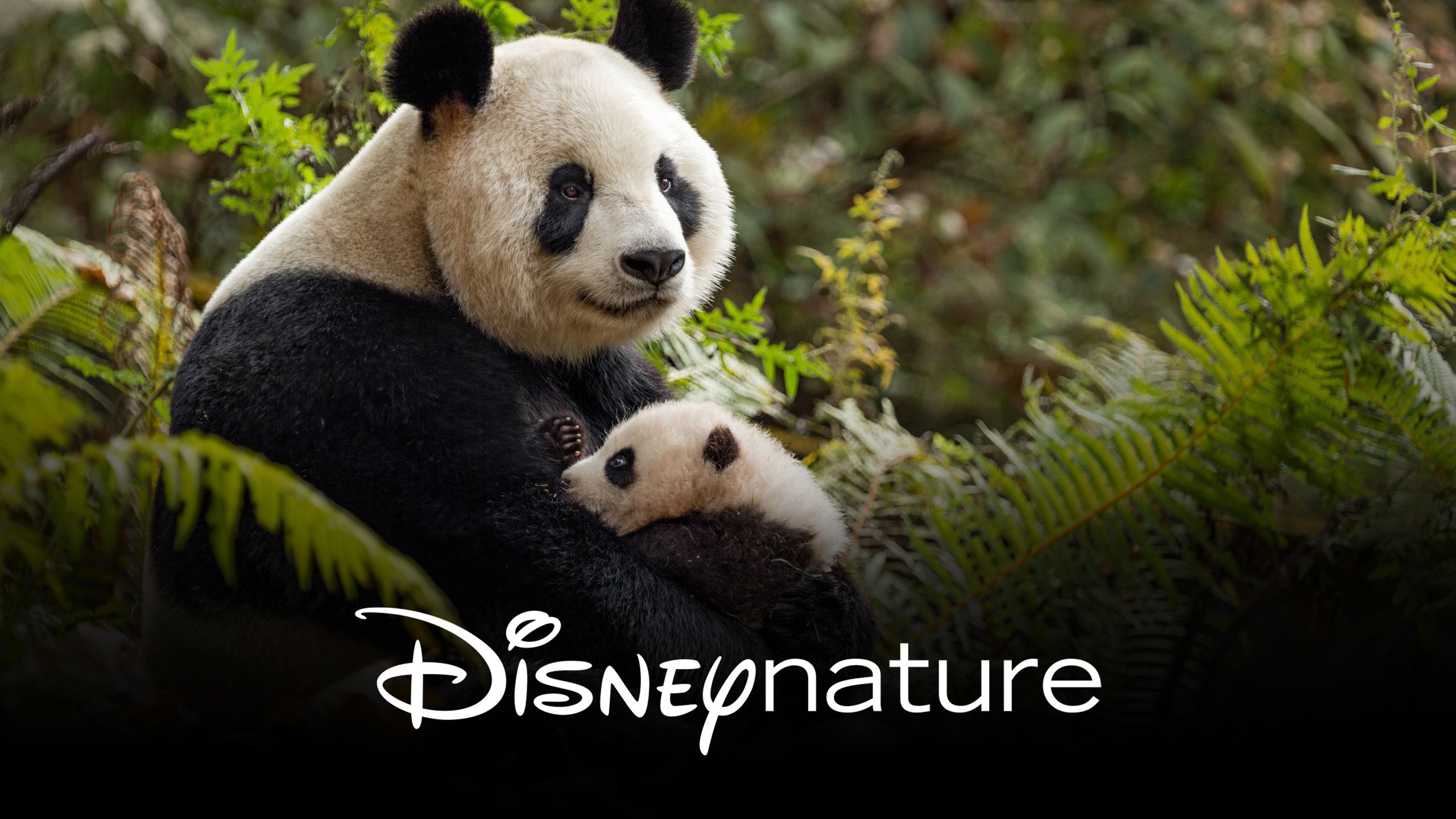 Disneynature Collection on Movies Anywhere | Movies Anywhere