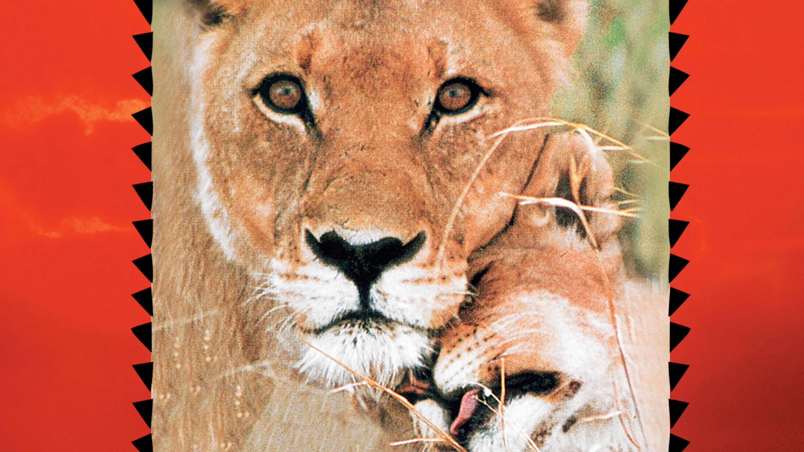 Born Free (1965) | Full Movie | Movies Anywhere