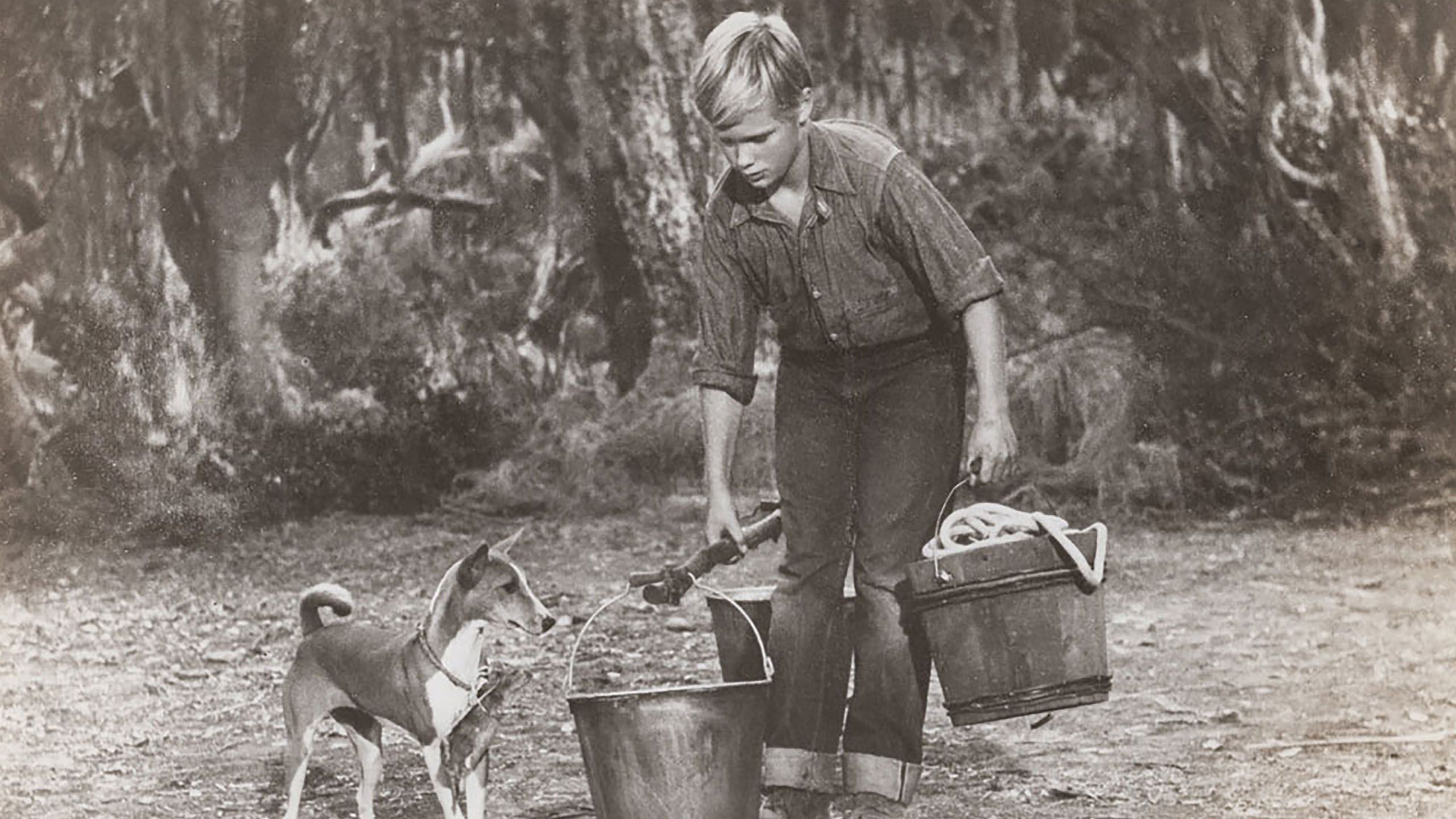 Good-bye, My Lady | Full Movie | Movies Anywhere