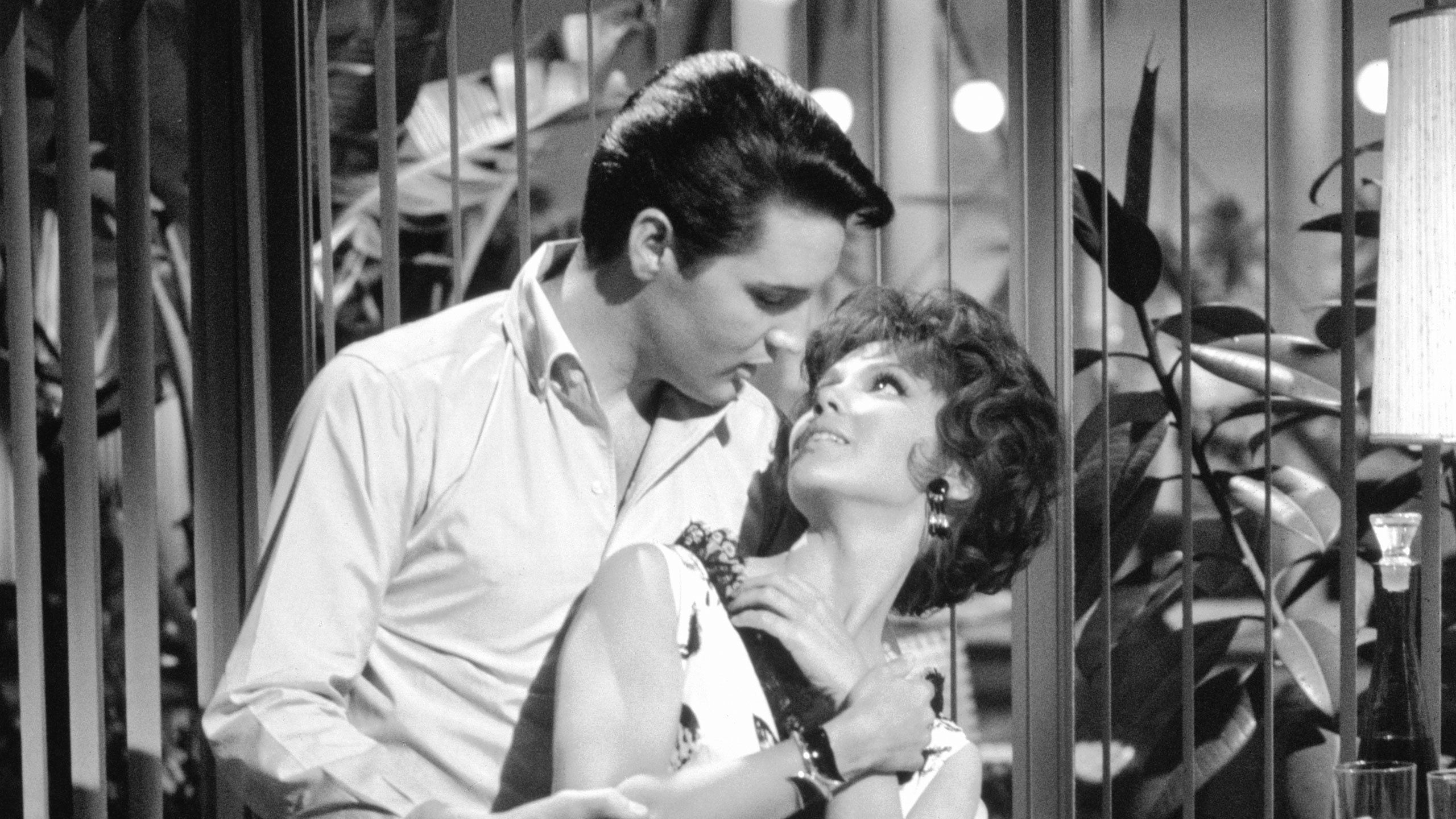 Girl Happy | Full Movie | Movies Anywhere