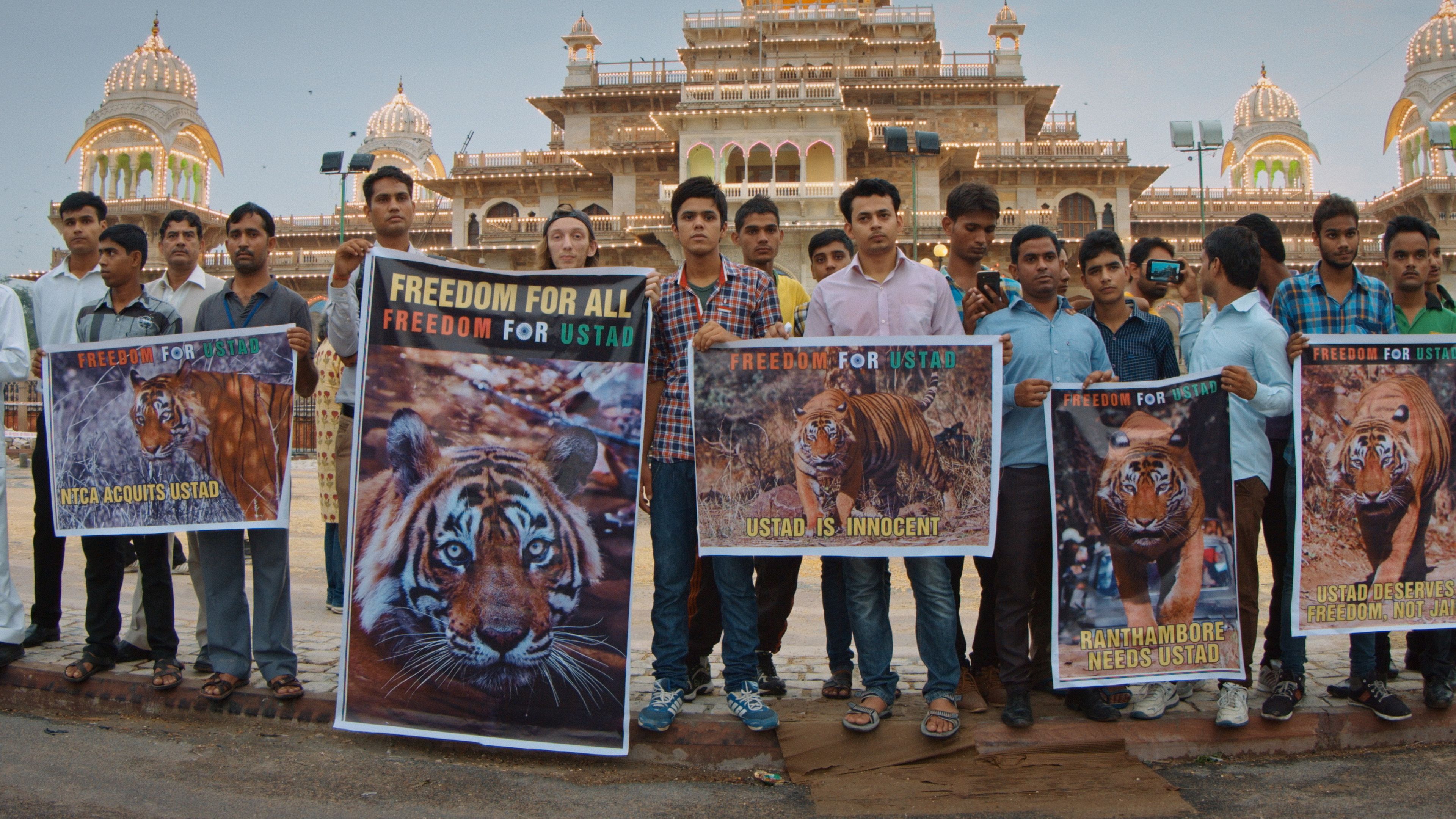 Tiger 24 | Full Movie | Movies Anywhere