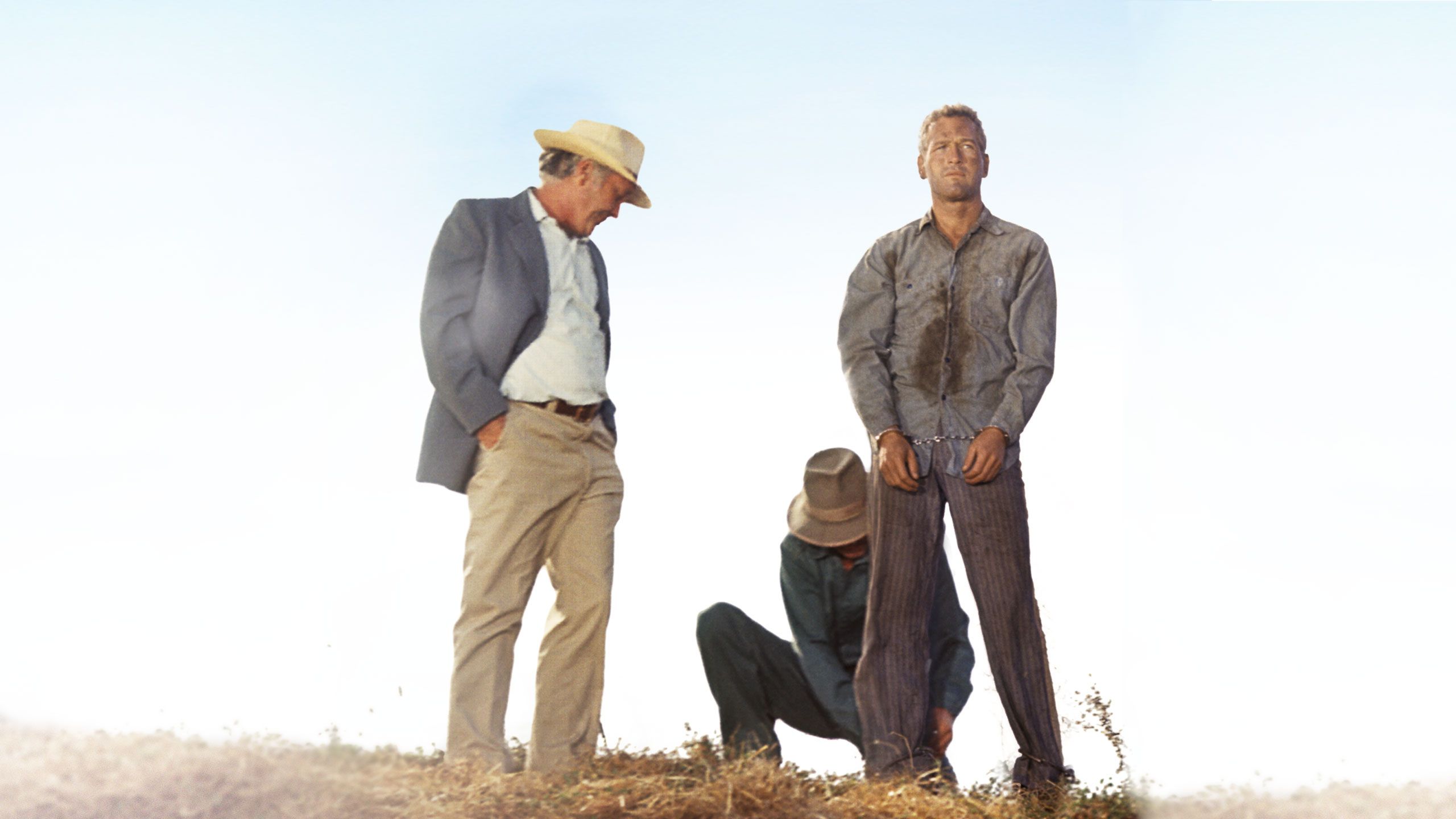 Cool Hand Luke | Movies Anywhere