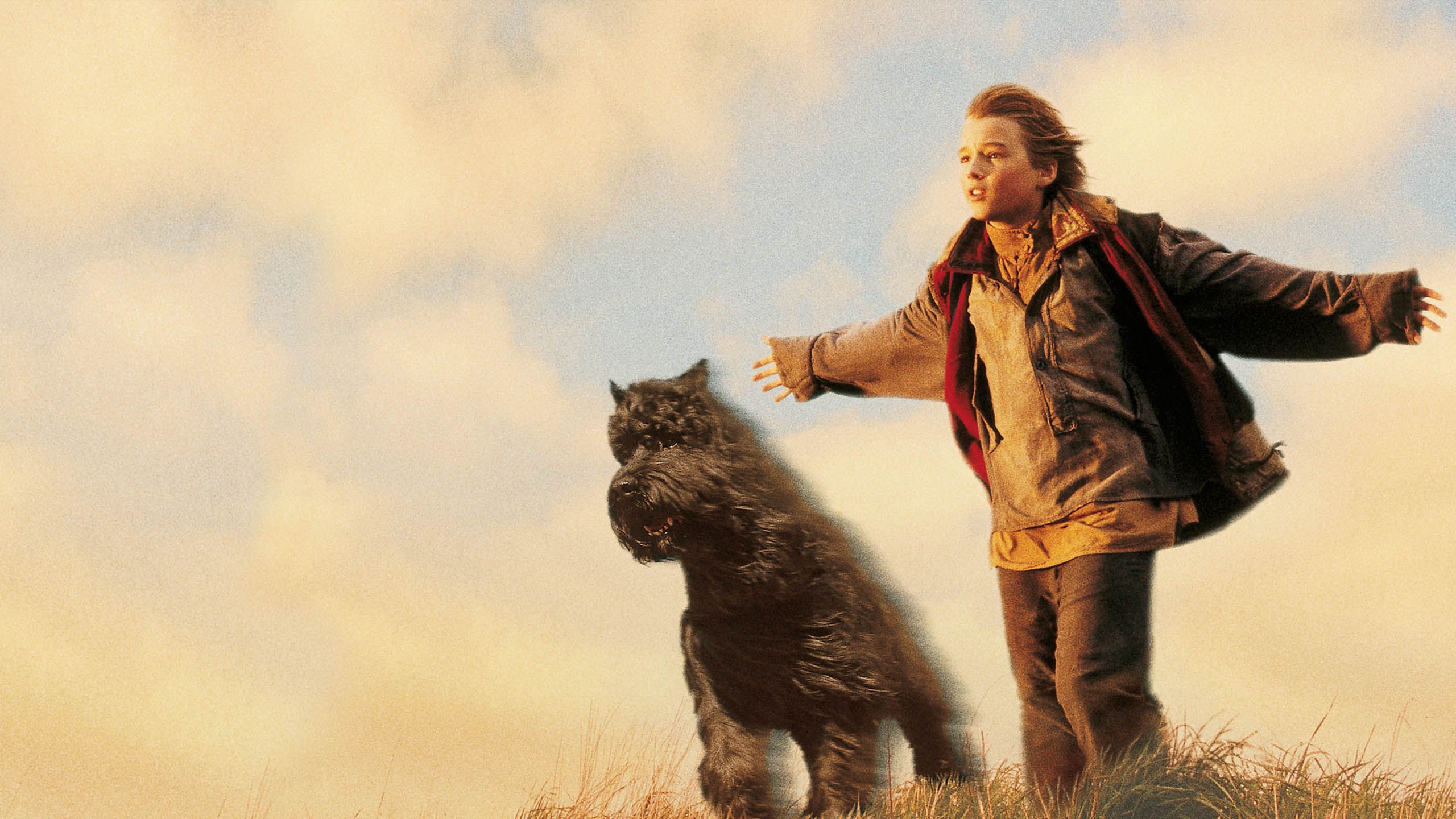 A Dog of Flanders | Full Movie | Movies Anywhere